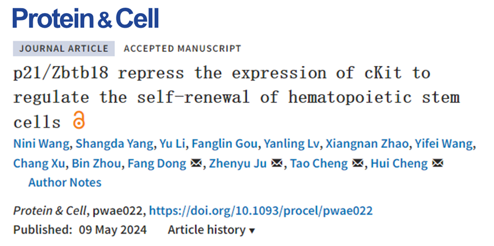 Protein & Cell | 程辉/程涛/鞠振宇/董芳揭示p21调节造血干细胞稳态维持的新机制医药新闻-ByDrug-一站式医药资源共享中心-医药魔方