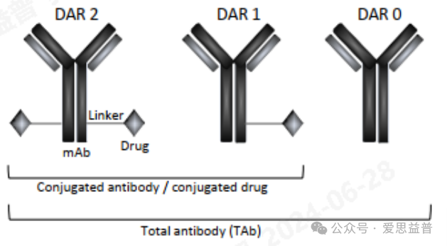 ADC血浆稳定性评价，不一样的DAR值测定！医药新闻-ByDrug-一站式医药资源共享中心-医药魔方