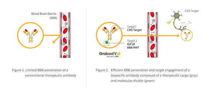 27亿美元！GSK与ABL Bio达成全球许可协议，开发CNS新药医药新闻-ByDrug-一站式医药资源共享中心-医药魔方