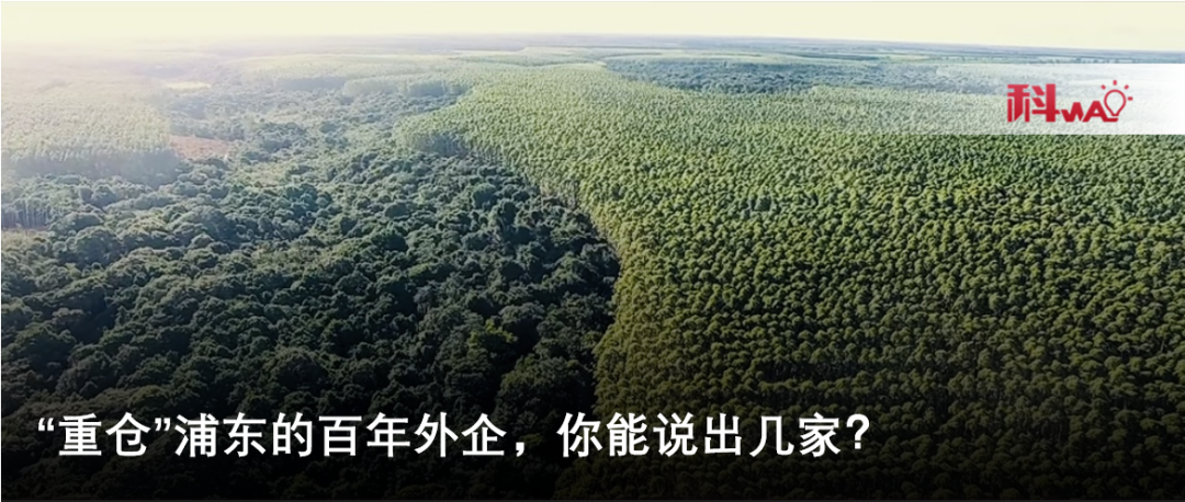 打响开年第一枪！全球首款TIL疗法获FDA批准上市！医药新闻-ByDrug-一站式医药资源共享中心-医药魔方