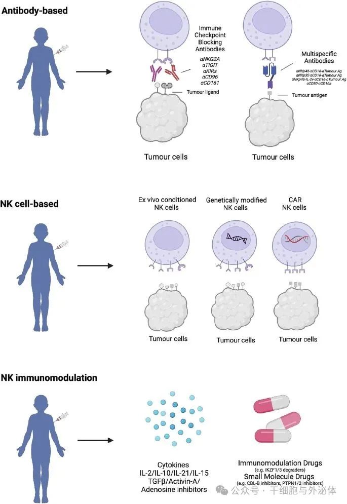 癌症免疫治疗新突破：科学家解锁NK细胞'抗癌超能力'！医药新闻-ByDrug-一站式医药资源共享中心-医药魔方
