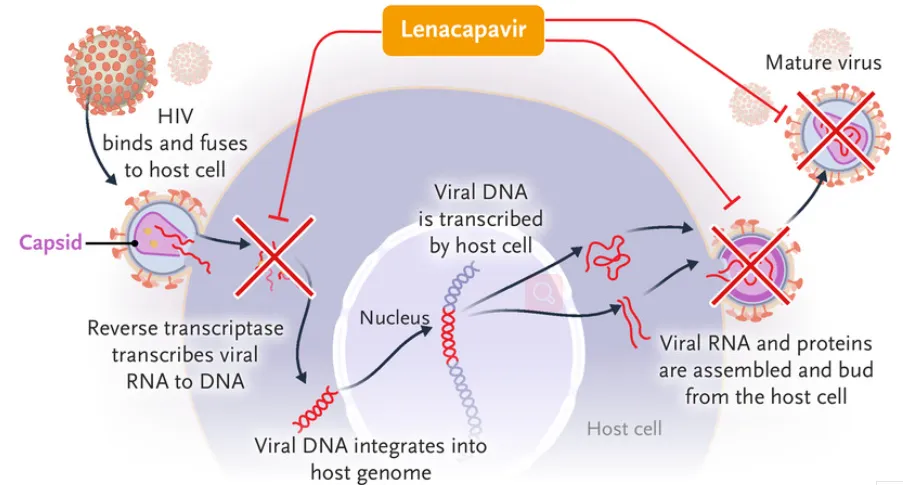 一年两针，近100%有效！长效HIV-1预防药物获FDA批准上市医药新闻-ByDrug-一站式医药资源共享中心-医药魔方