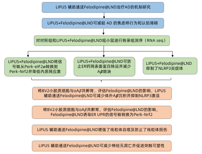 项目文章Adv Sci (IF14.3) | 脂质体纳米药物Felodipine@LND可改善AD医药新闻-ByDrug-一站式医药资源共享中心-医药魔方