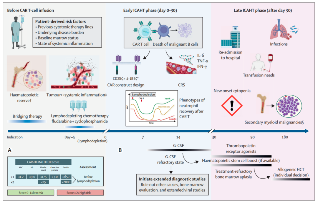 综述 | CAR-T细胞治疗后免疫效应细胞相关血液学毒性的机制和管理医药新闻-ByDrug-一站式医药资源共享中心-医药魔方