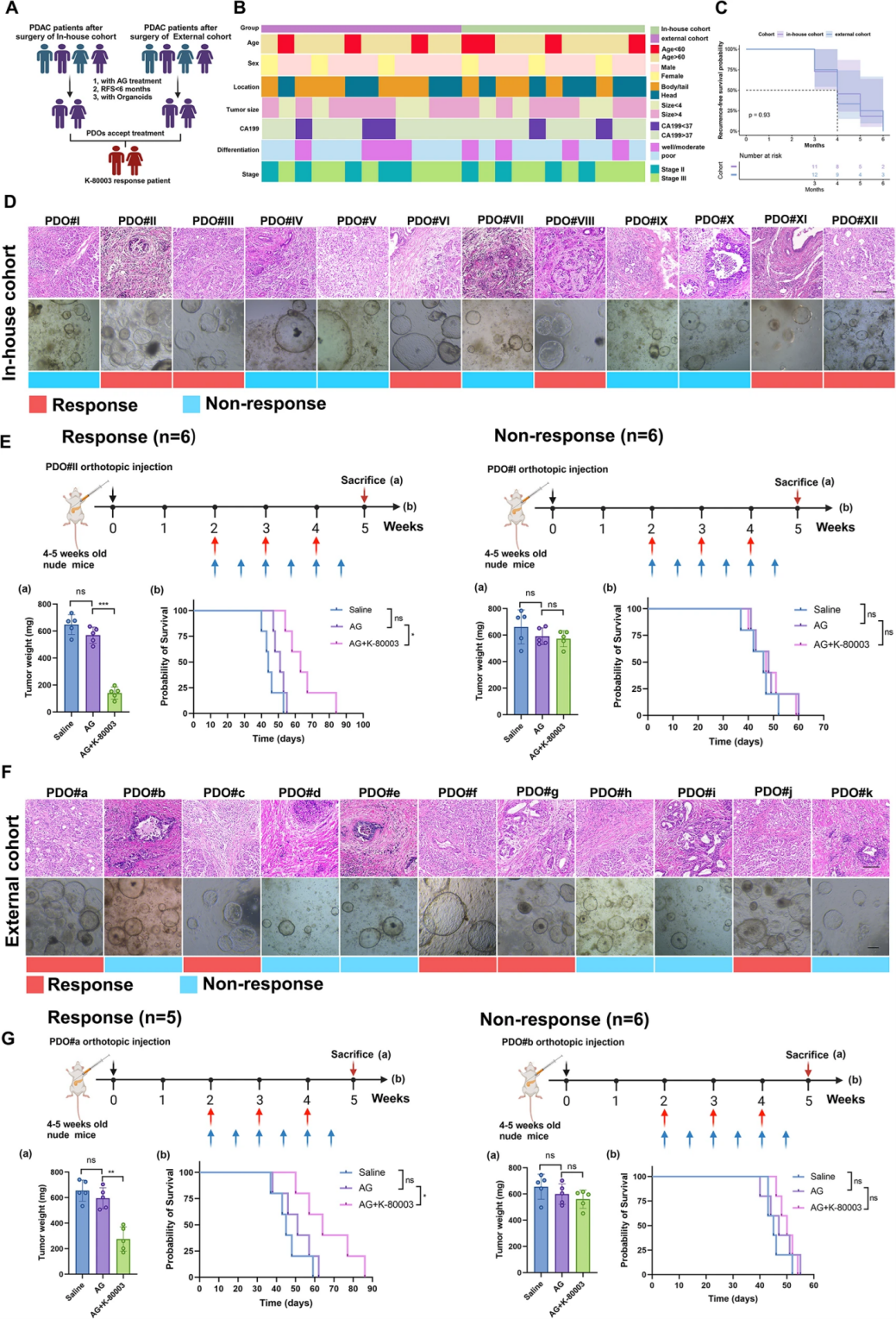 Molecular Cancer丨克服胰腺导管腺癌化疗耐药性医药新闻-ByDrug-一站式医药资源共享中心-医药魔方