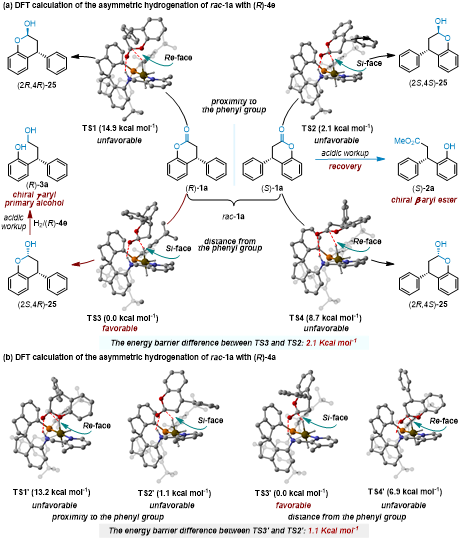九洲药业&南开大学联合在CCS Chemistry上刊发论文：消旋4－取代色满-2-酮经内酯不对称氢化的动力学拆分医药新闻-ByDrug-一站式医药资源共享中心-医药魔方