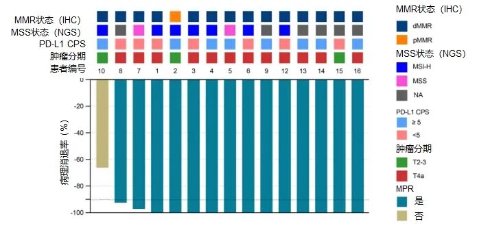 100%R0切除，pCR率80%，MPR率93.3%！dMMR/MSI-H型局部晚期胃癌围术期免疫治疗再添新证医药新闻-ByDrug-一站式医药资源共享中心-医药魔方