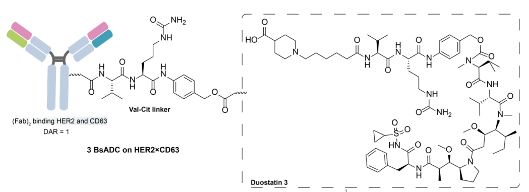 双抗ADC：1+1>2医药新闻-ByDrug-一站式医药资源共享中心-医药魔方