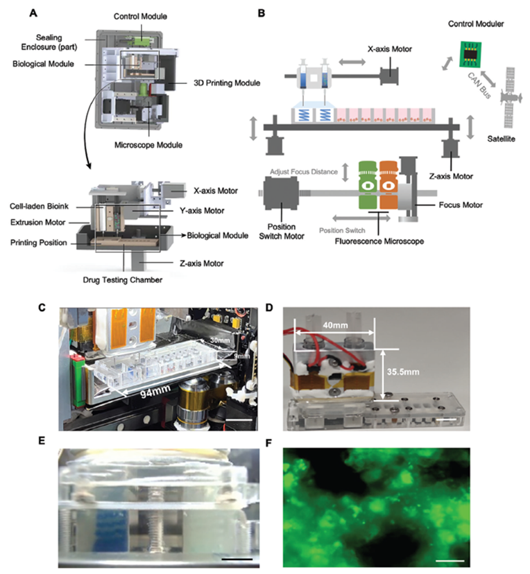 Adv Mat 肿瘤模型太空3D打印技术有望加速太空生物医学研究医药新闻-ByDrug-一站式医药资源共享中心-医药魔方
