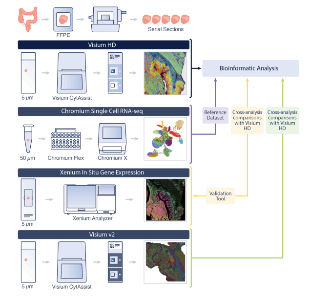 10x Genomics VisiumHD全球首篇文献发布医药新闻-ByDrug-一站式医药资源共享中心-医药魔方