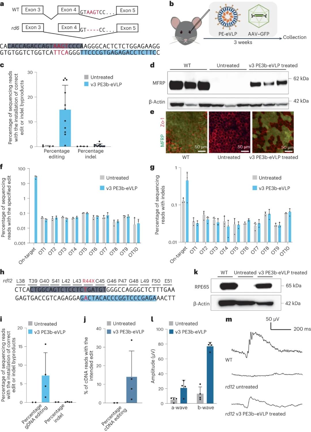 David Liu最新成果：全新eVLP递送先导编辑，编辑效率提升170倍！医药新闻-ByDrug-一站式医药资源共享中心-医药魔方