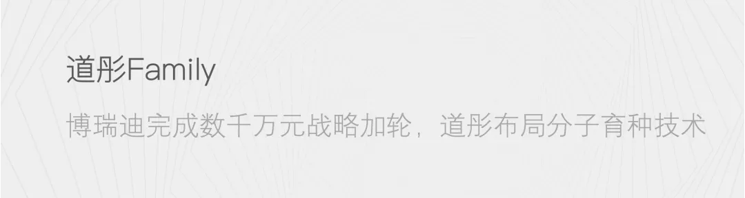 出海新篇章：博瑞迪北美与欧洲实验室同步开业，生物育种技术获国际市场认可｜道彤Family医药新闻-ByDrug-一站式医药资源共享中心-医药魔方