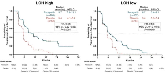 国内首个商用HRD状态检测产品-FoundationOne CDx助力卵巢癌精准治疗步入HRD时代医药新闻-ByDrug-一站式医药资源共享 ...