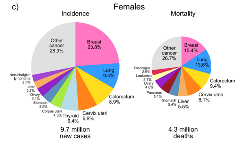 神刊CA：2022年全球最新癌症统计报告出炉医药新闻-ByDrug-一站式医药资源共享中心-医药魔方