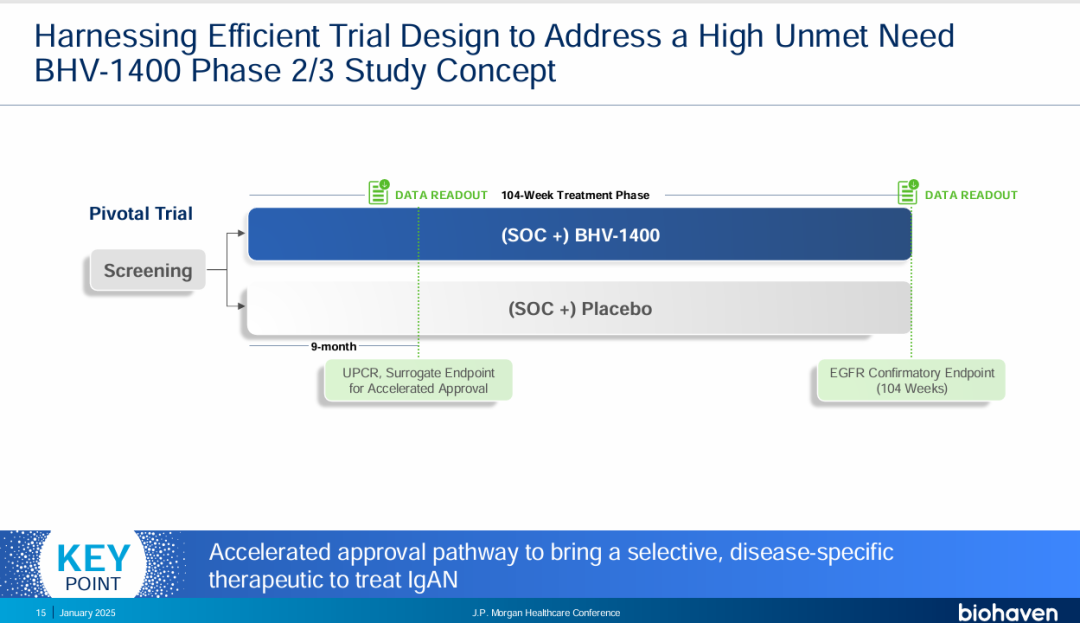 4小时降低60% IgA肾病致病性抗体！新型降解剂挺进关键II/III期临床医药新闻-ByDrug-一站式医药资源共享中心-医药魔方