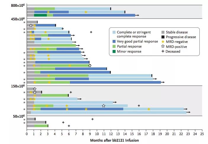 【NEJM】CRB-401研究：bb2121治疗复发／难治性MM的安全性数据公布医药新闻-ByDrug-一站式医药资源共享中心-医药魔方
