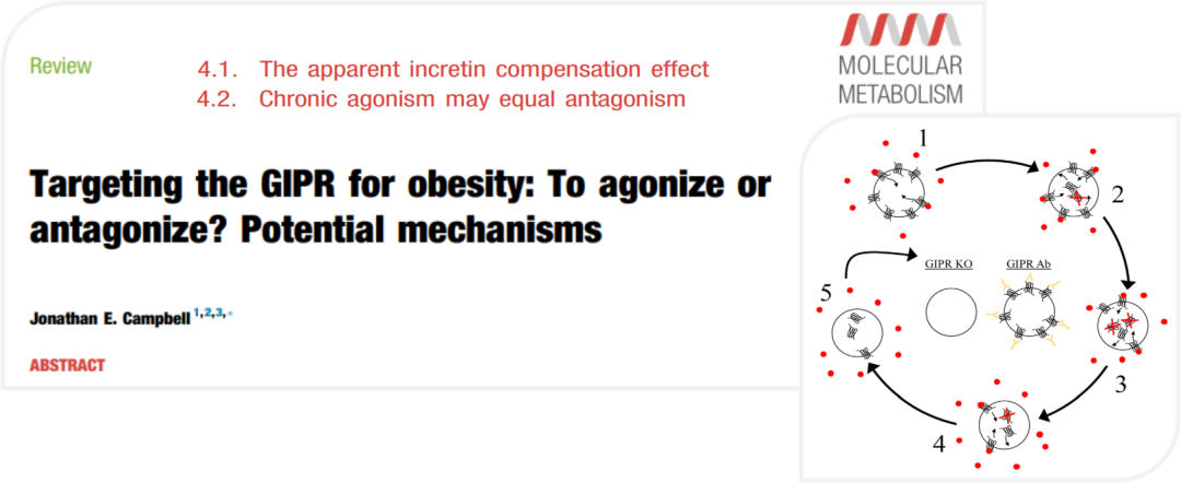 Amgen的减肥药怎么就不行了？420mg到底怎么打皮下？医药新闻-ByDrug-一站式医药资源共享中心-医药魔方
