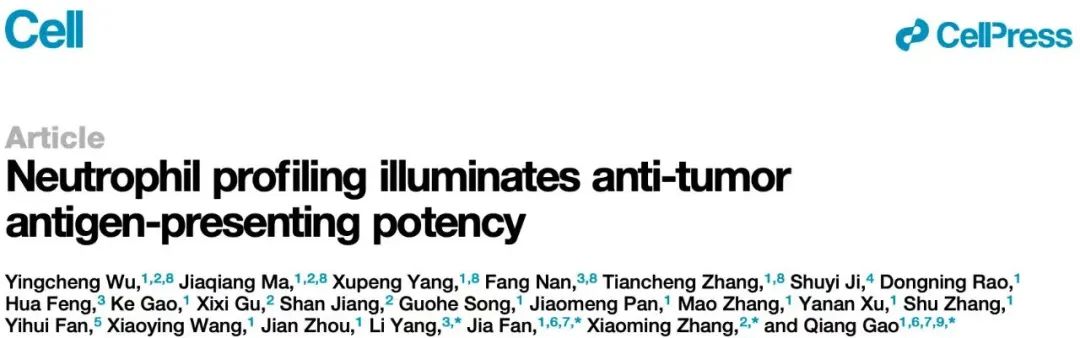 Cell | 张晓明研究组合作揭示抗原递呈型中性粒细胞的抗肿瘤潜能医药新闻-ByDrug-一站式医药资源共享中心-医药魔方