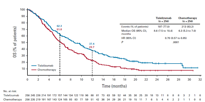 RATIONALE 306研究：替雷利珠单抗食管鳞癌研究再下一城，晚期初治患者全面获益医药新闻-ByDrug-一站式医药资源共享中心-医药魔方