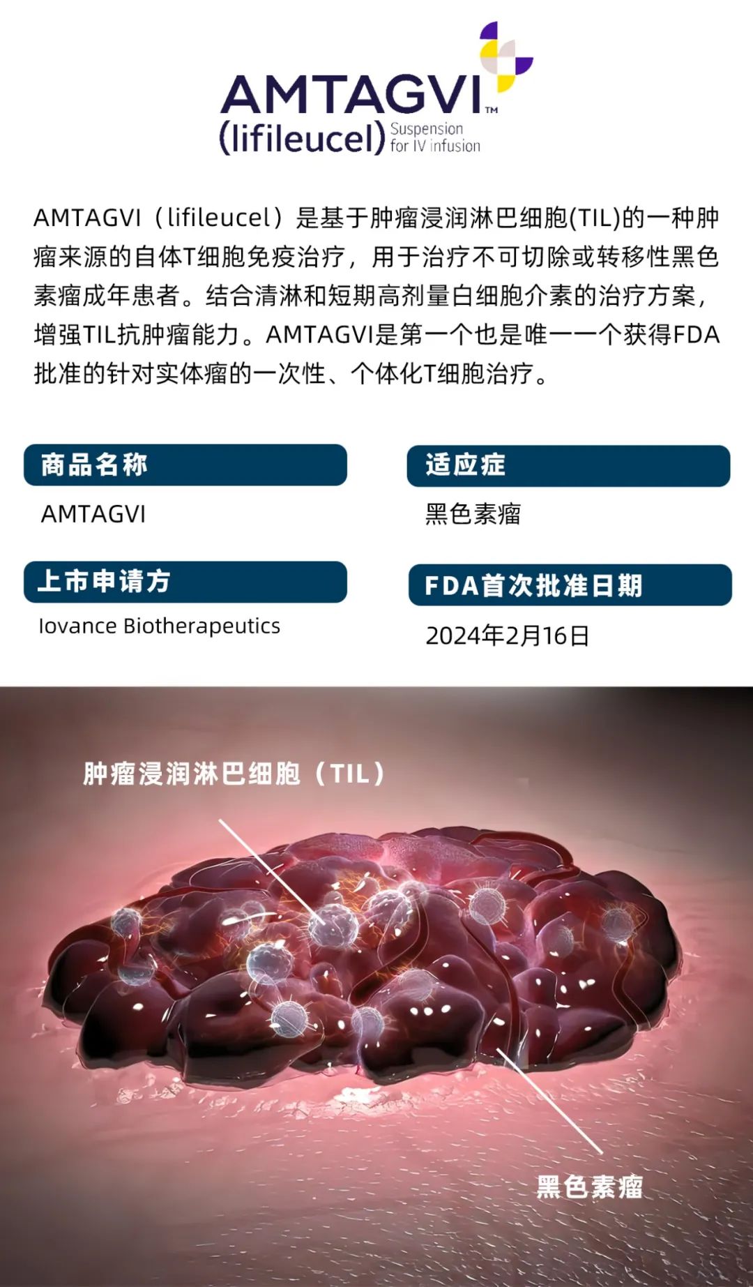 重磅！全球首款TIL细胞疗法获FDA批准上市医药新闻-ByDrug-一站式医药资源共享中心-医药魔方