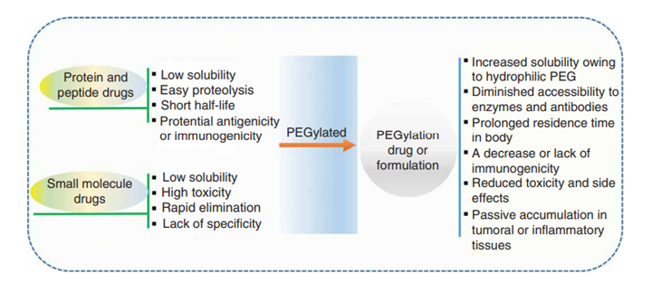PEG化风靡制药40年，经久不衰的秘密医药新闻-ByDrug-一站式医药资源共享中心-医药魔方