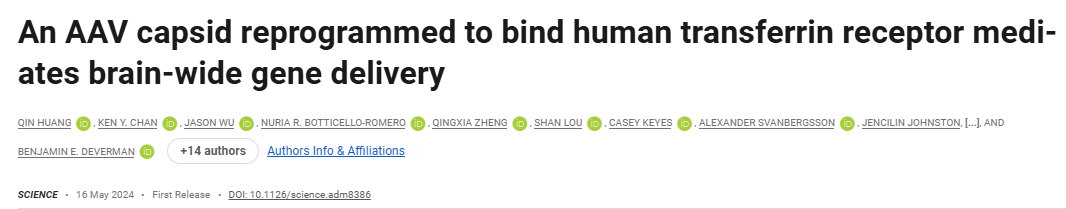 Science：新型AAV载体来了！递送效率提升30倍，或带来神经系统疾病治疗突破医药新闻-ByDrug-一站式医药资源共享中心-医药魔方