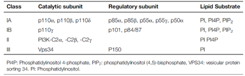 细胞凋亡系列篇【4】抗细胞凋亡的中心枢纽：PI3K/AKT信号通路医药新闻-ByDrug-一站式医药资源共享中心-医药魔方