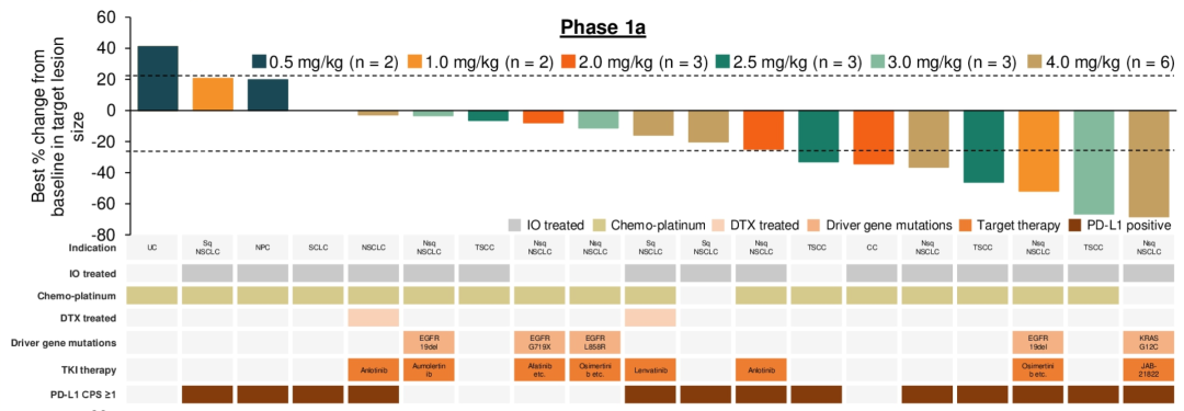专家说丨王洁教授：披露我国首个PD-L1 ADC I期研究结果，解析HLX43独特机制与临床获益医药新闻-ByDrug-一站式医药资源共享中心 ...