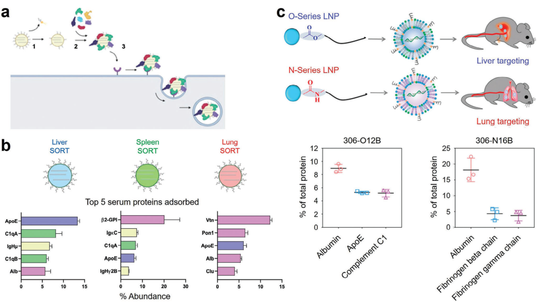 调节脂质纳米颗粒（LNP），将 RNA 靶向递送至肝外器官医药新闻-ByDrug-一站式医药资源共享中心-医药魔方