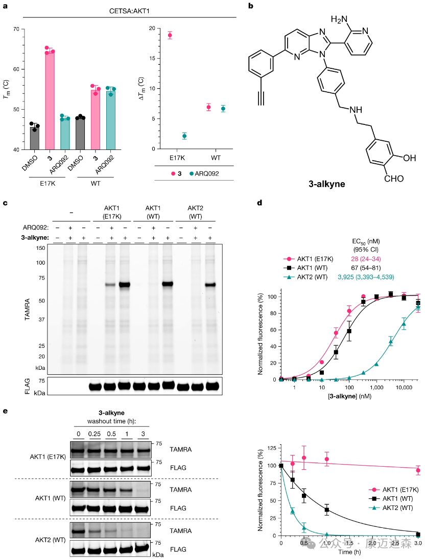Nature: 共价结合赖氨酸和新型锌离子螯合的突变体选择性AKT抑制剂医药新闻-ByDrug-一站式医药资源共享中心-医药魔方