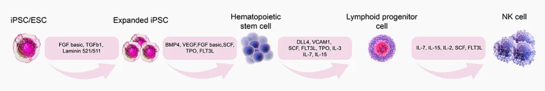 iPSC/T/NK细胞疗法CMC生产工艺解决方案医药新闻-ByDrug-一站式医药资源共享中心-医药魔方