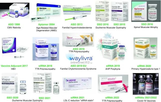 开门红，2024或将成为小核酸药物的觉醒年？医药新闻-ByDrug-一站式医药资源共享中心-医药魔方