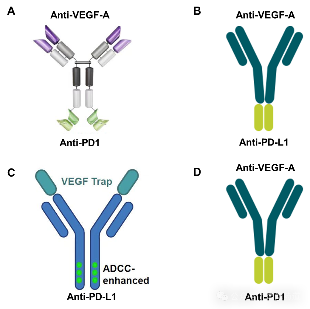 通过比较4款出海PD-(L)1/VEGF双抗分析BioNTech/普米斯及默沙东/礼新交易背后的逻辑医药新闻-ByDrug-一站式医药资源共享中心-医药魔方