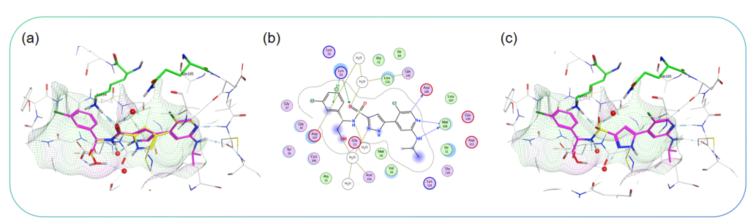 Difflinker：基于扩散模型的Linker生成和骨架跃迁医药新闻-ByDrug-一站式医药资源共享中心-医药魔方
