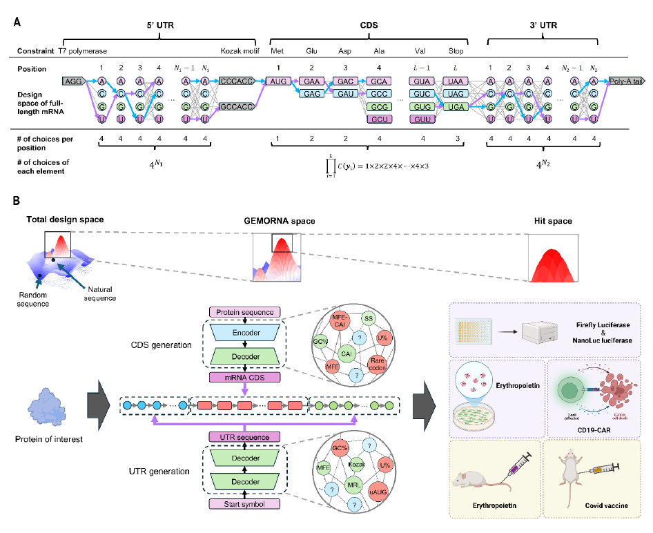 Science里程碑：全球首个！生成式AI变革mRNA疗法研发医药新闻-ByDrug-一站式医药资源共享中心-医药魔方
