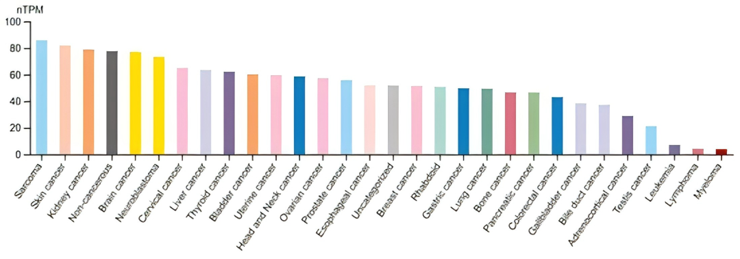 靶点B7-H3:从基础研究到临床转化的进展汇总医药新闻-ByDrug-一站式医药资源共享中心-医药魔方