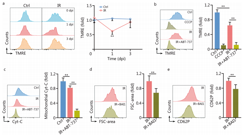 MMR-揭示放射损伤后骨髓巨核细胞的作用与机制医药新闻-ByDrug-一站式医药资源共享中心-医药魔方