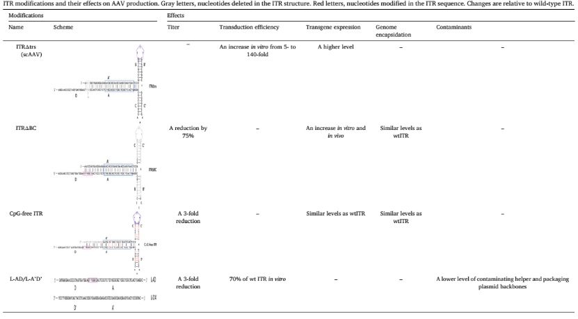 ITR结构对腺相关病毒（AAV）产量的影响医药新闻-ByDrug-一站式医药资源共享中心-医药魔方