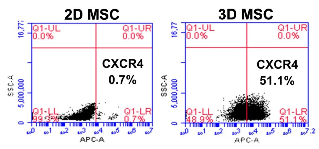 全球首款3D间充质干细胞注射液获批IND医药新闻-ByDrug-一站式医药资源共享中心-医药魔方