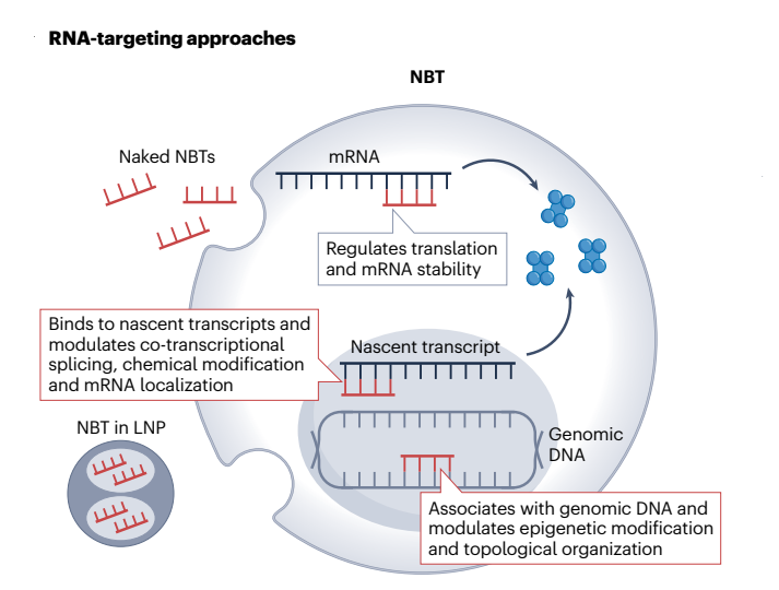 RNA靶向基因激活疗法医药新闻-ByDrug-一站式医药资源共享中心-医药魔方