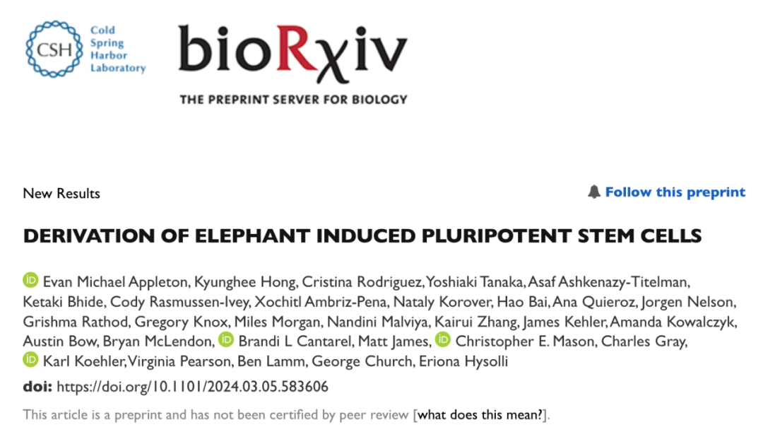 世界首次！乔治·丘奇团队成功构建大象iPS细胞，距离复活猛犸象更进一步医药新闻-ByDrug-一站式医药资源共享中心-医药魔方
