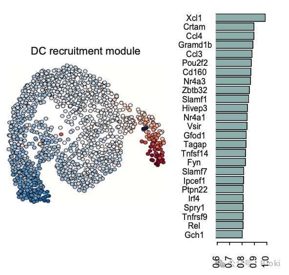 把DC细胞和T细胞拉到一起的双特异性抗体医药新闻-ByDrug-一站式医药资源共享中心-医药魔方