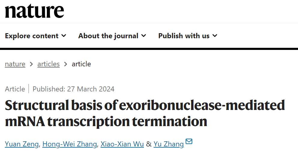 Nature | Pol II终止mRNA合成的机制终揭开，符合修正版的“鱼雷”模型医药新闻-ByDrug-一站式医药资源共享中心-医药魔方