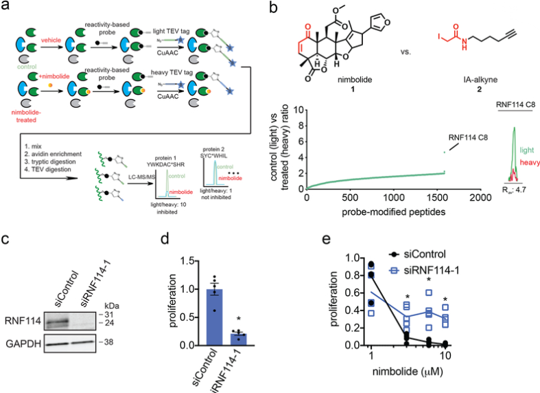 化学蛋白质组学在乳腺癌治疗中的创新应用医药新闻-ByDrug-一站式医药资源共享中心-医药魔方