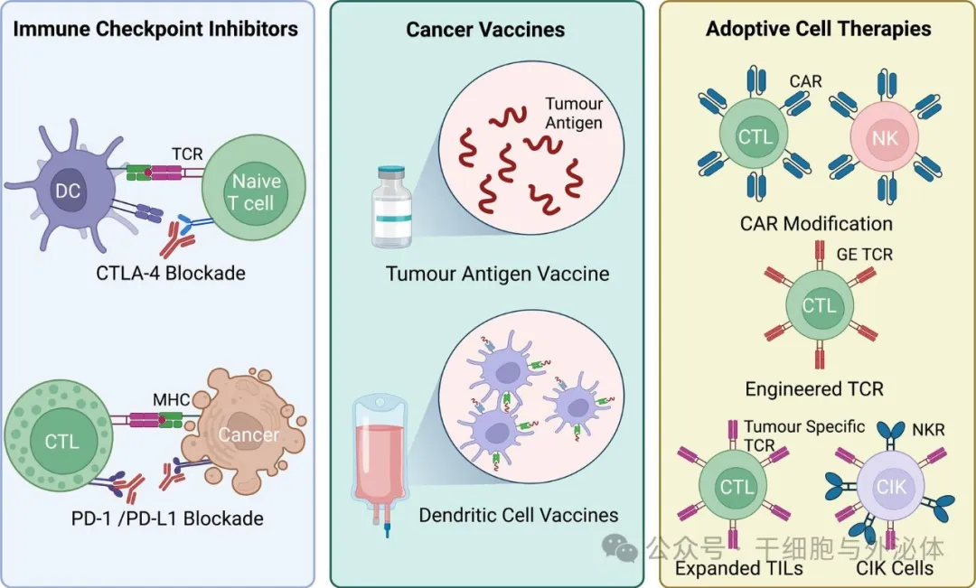 CIK细胞治疗结直肠癌，6743名患者70项临床证明疗效显著医药新闻-ByDrug-一站式医药资源共享中心-医药魔方