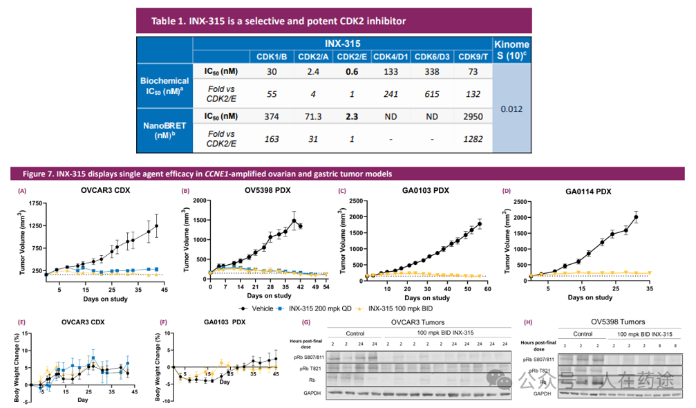 数十亿美元重磅交易——CDK2近期专利盘点（一）医药新闻-ByDrug-一站式医药资源共享中心-医药魔方