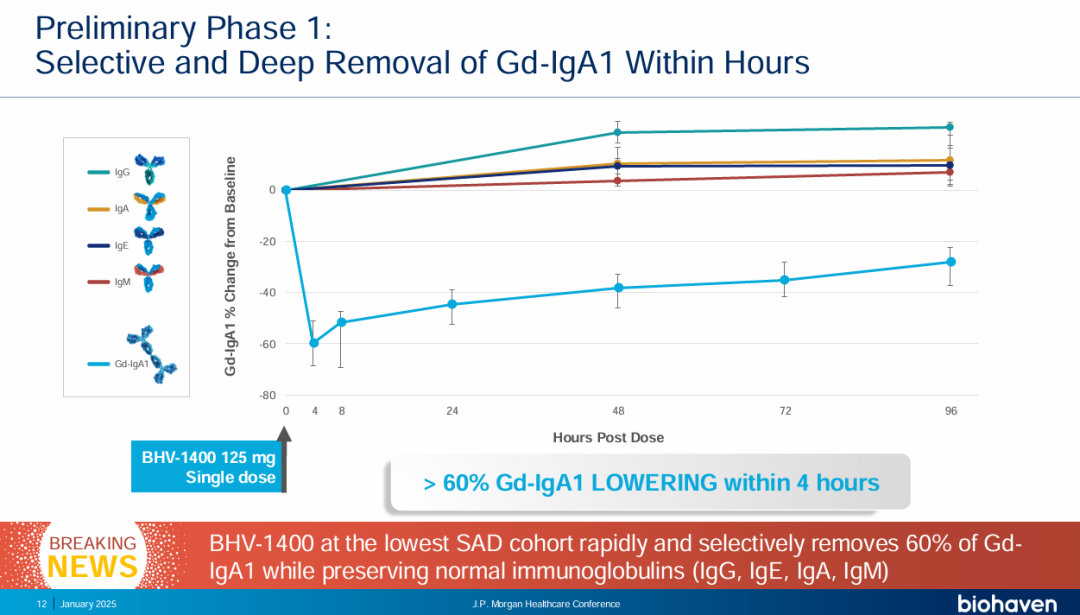4小时降低60% IgA肾病致病性抗体！新型降解剂挺进关键II/III期临床医药新闻-ByDrug-一站式医药资源共享中心-医药魔方