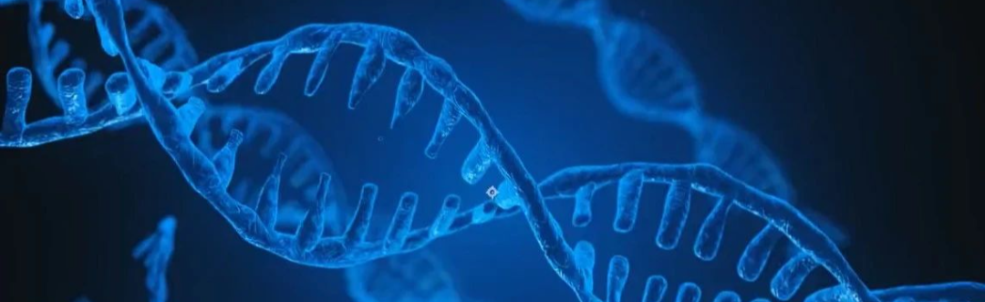 济群医药微环DNA基因药物获批临床医药新闻-ByDrug-一站式医药资源共享中心-医药魔方