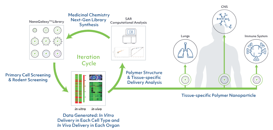 罗氏6.44亿美元押注！GenEdit完成2400万美元A1轮融资医药新闻-ByDrug-一站式医药资源共享中心-医药魔方
