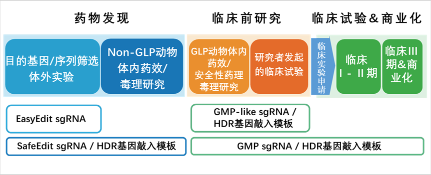 FDA IND获批！金斯瑞GMP sgRNA支持全球首款碱基编辑NK细胞产品斩获中美临床试验批件医药新闻-ByDrug-一站式医药资源共享中心-医药魔方